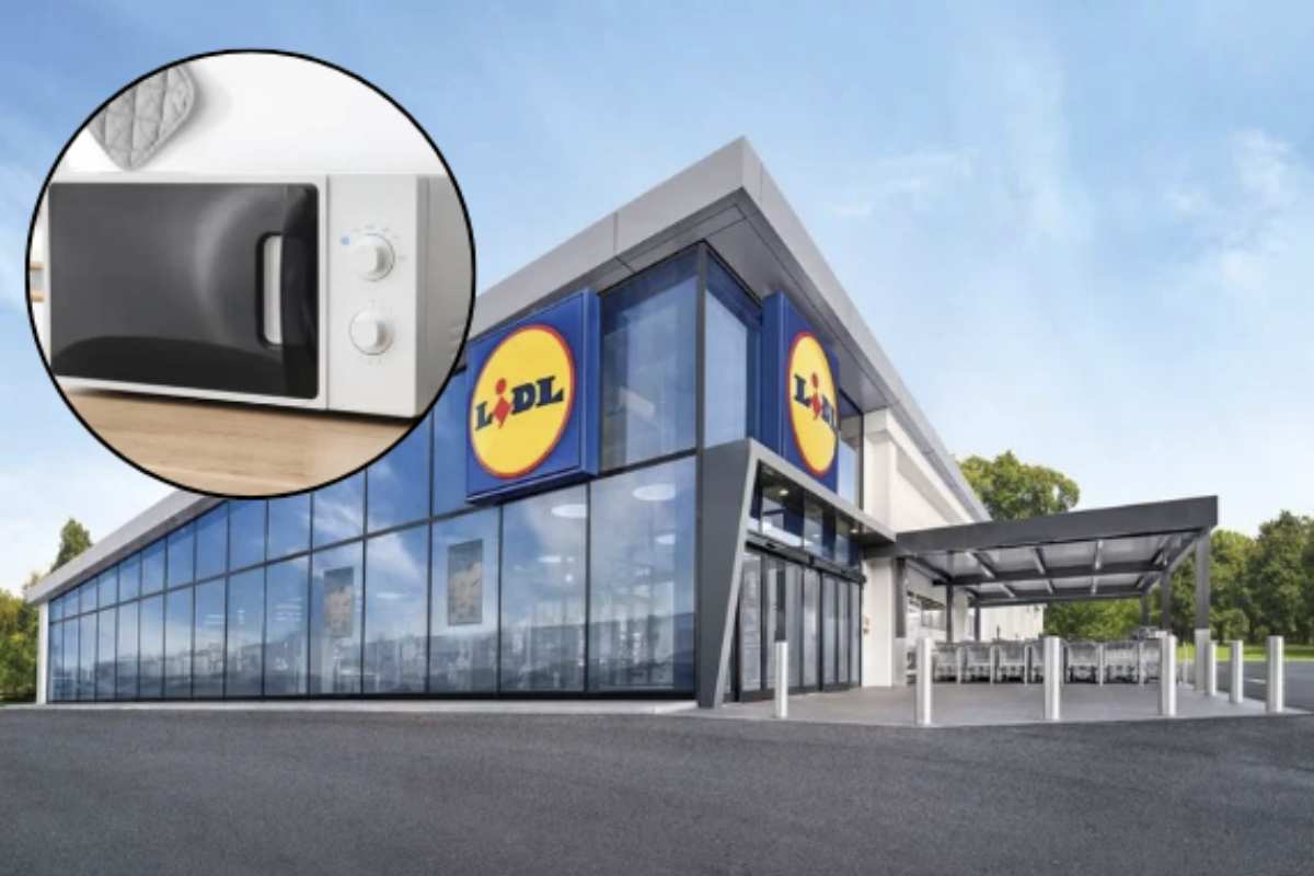 Il microonde migliore al mondo ce l'ha solo LIDL, costa pochissimo ed è ...